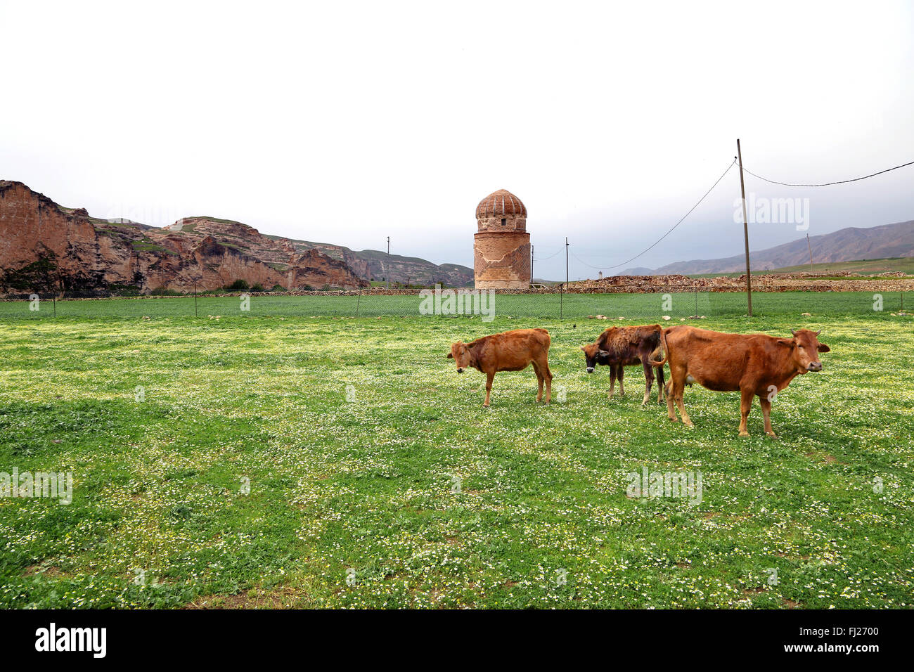 Mausoleum face hi-res stock photography and images - Alamy