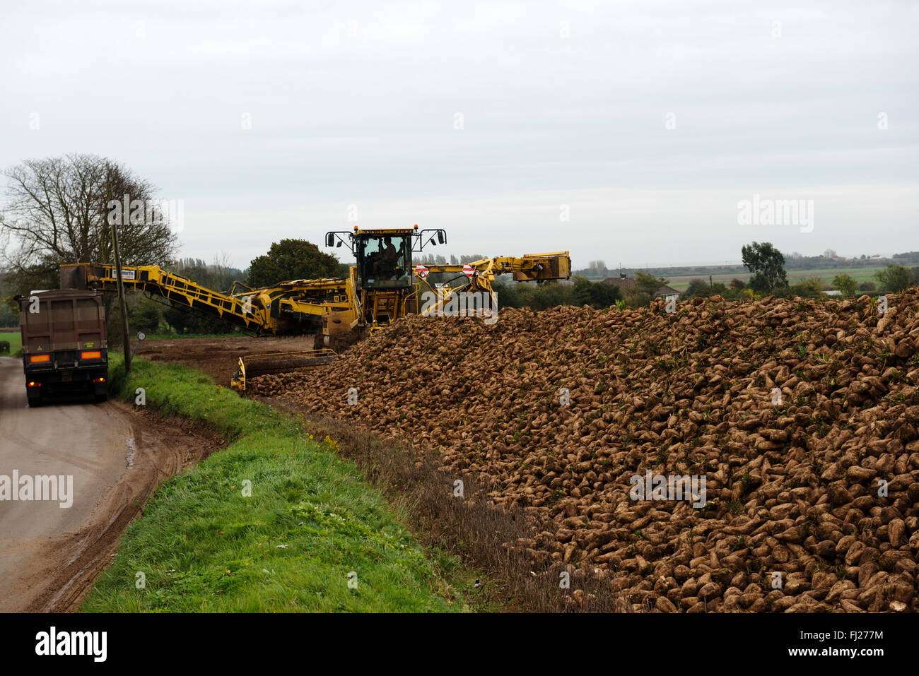 Sugar beet transport hi-res stock photography and images - Alamy