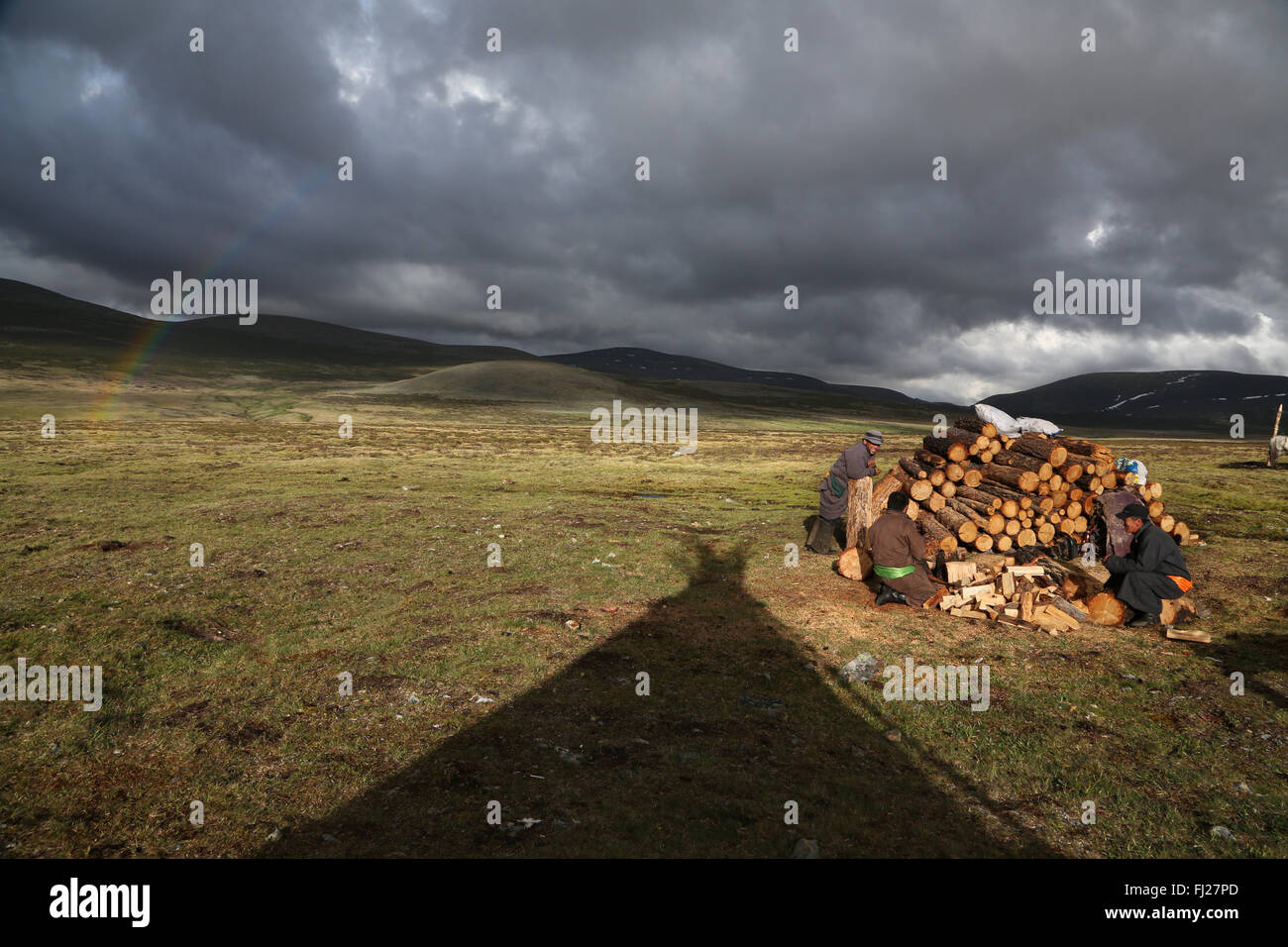 Mongolia Tsaatan nomads - reindeer people - tribe - people living with ...