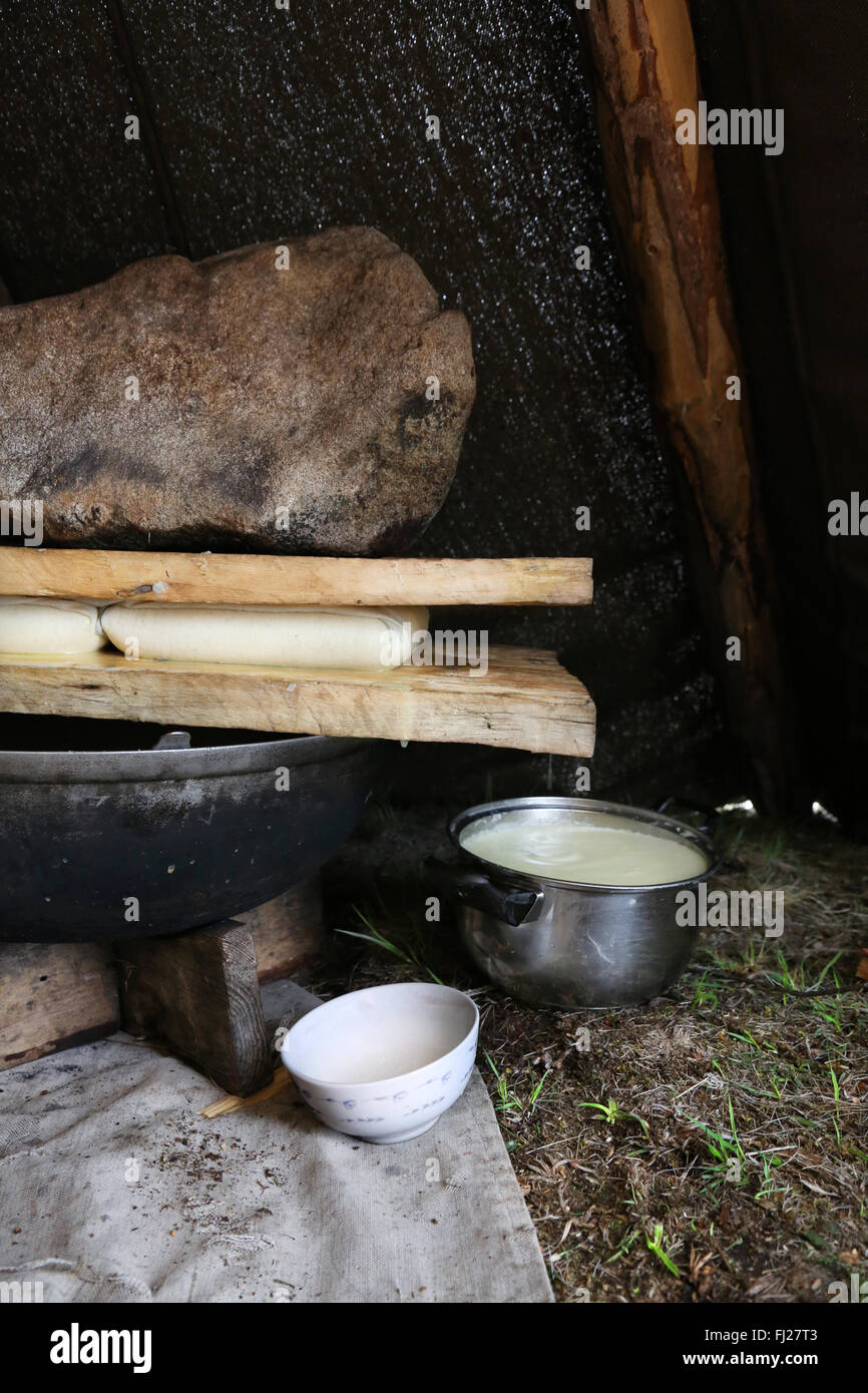 Mongolia Tsaatan nomads - reindeer people - tribe - people living with ...
