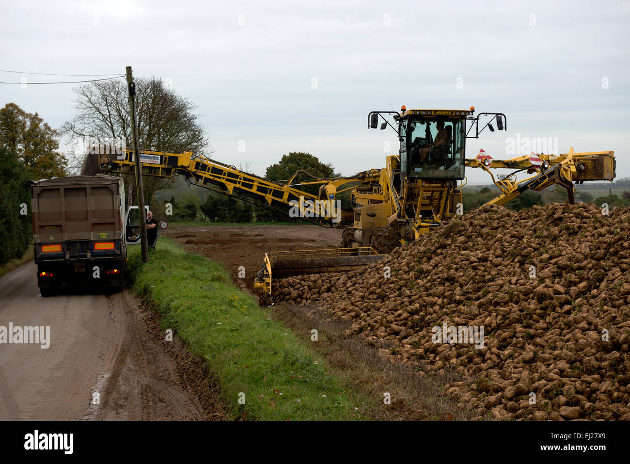 Sugar beet transport hi-res stock photography and images - Alamy