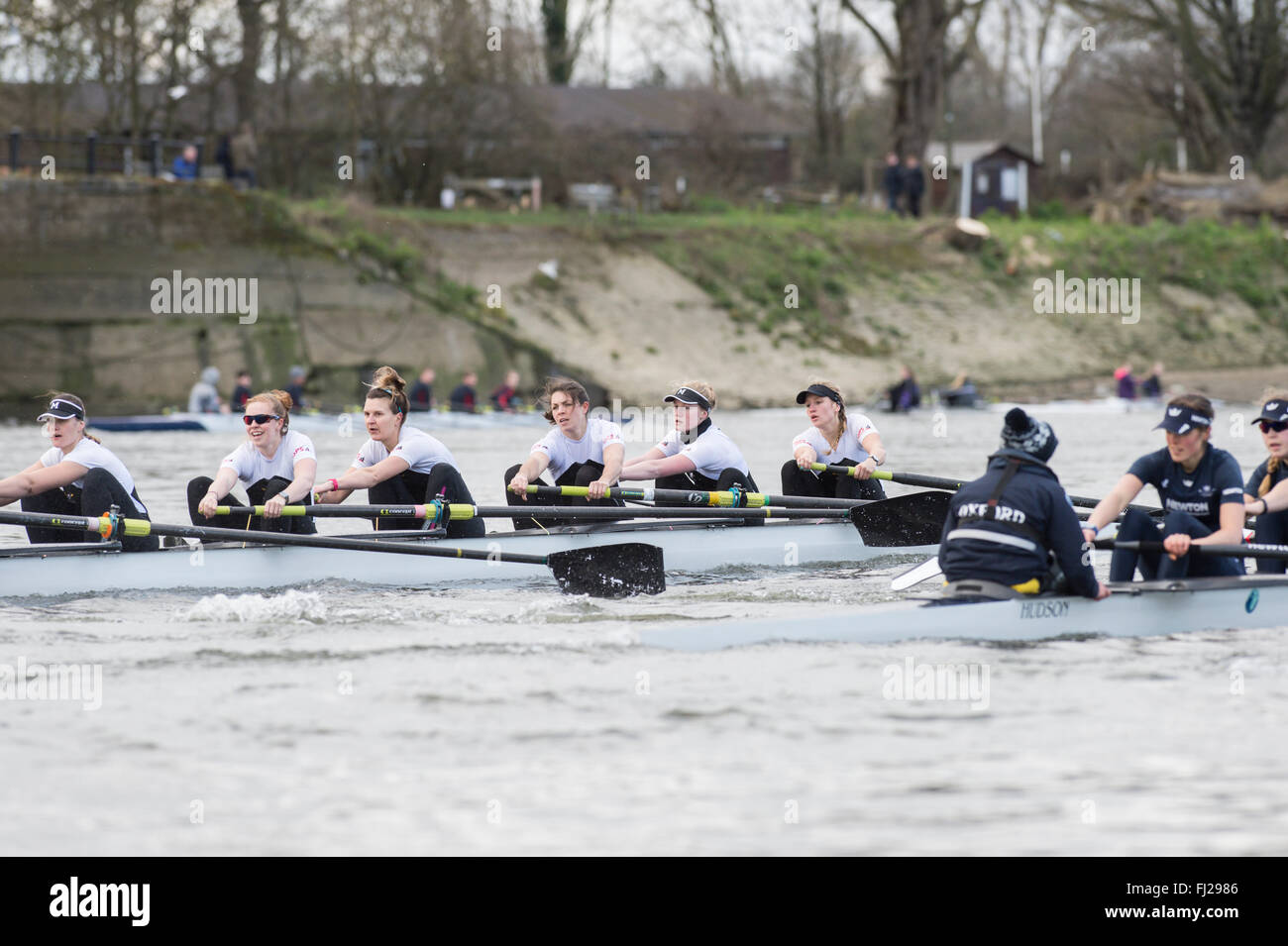 As they prepare for the oxford cambridge university boat race hi-res ...