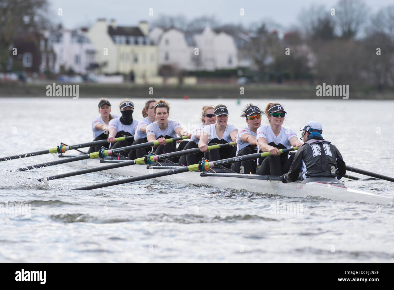 As they prepare for the oxford cambridge university boat race hi-res ...