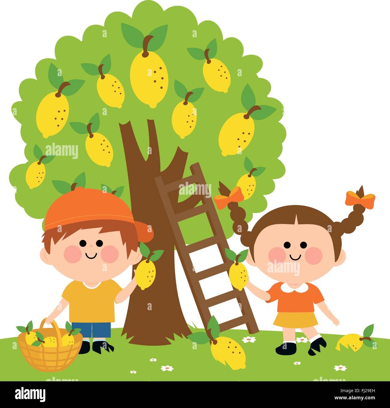 Children picking lemons under a lemon tree. Kids at the farm in the ...