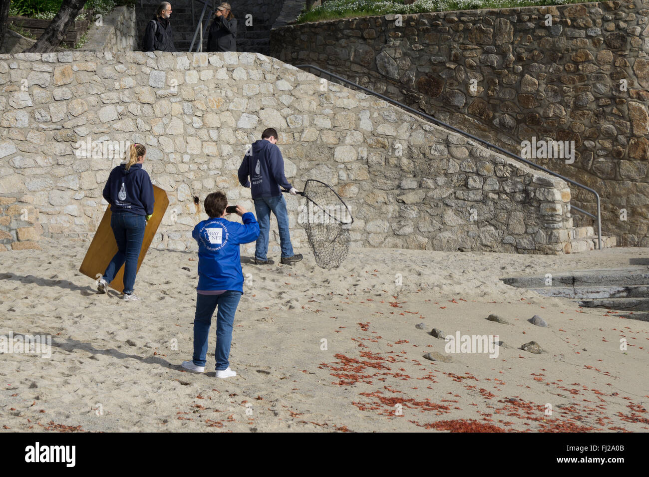 Lovers Point Beach, Pacific Grove, CA Stock Photo - Alamy