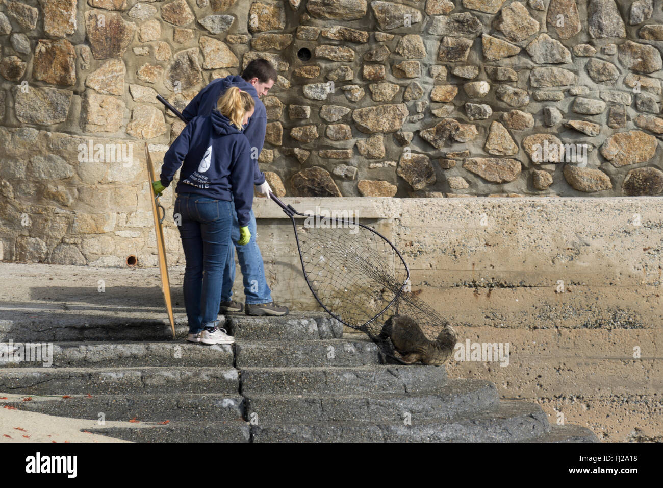 Lovers Point Beach, Pacific Grove, CA Stock Photo - Alamy