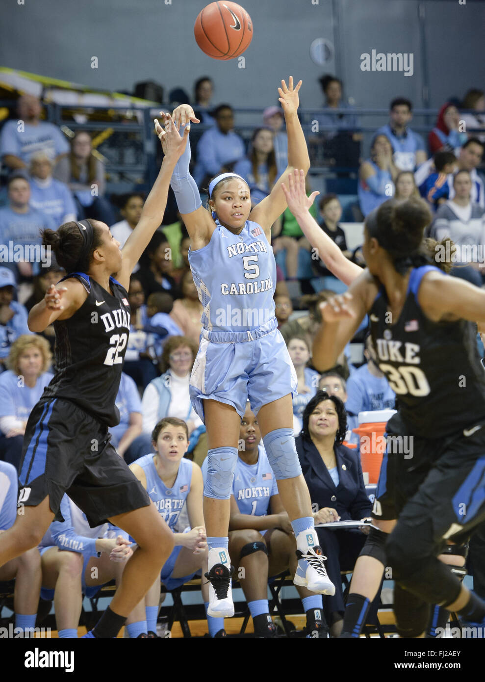 Stephanie Fabian High Resolution Stock Photography and Images - Alamy