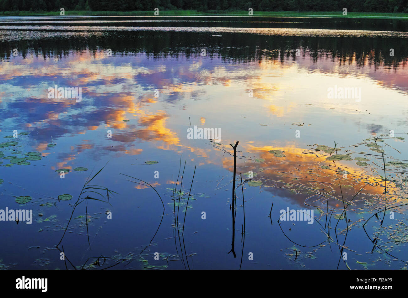 Pink sunset over lake Stock Photo - Alamy