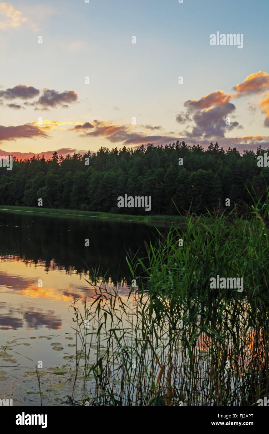 Pink sunset over lake Stock Photo - Alamy
