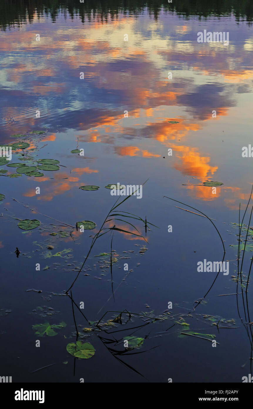 Pink sunset over lake Stock Photo - Alamy