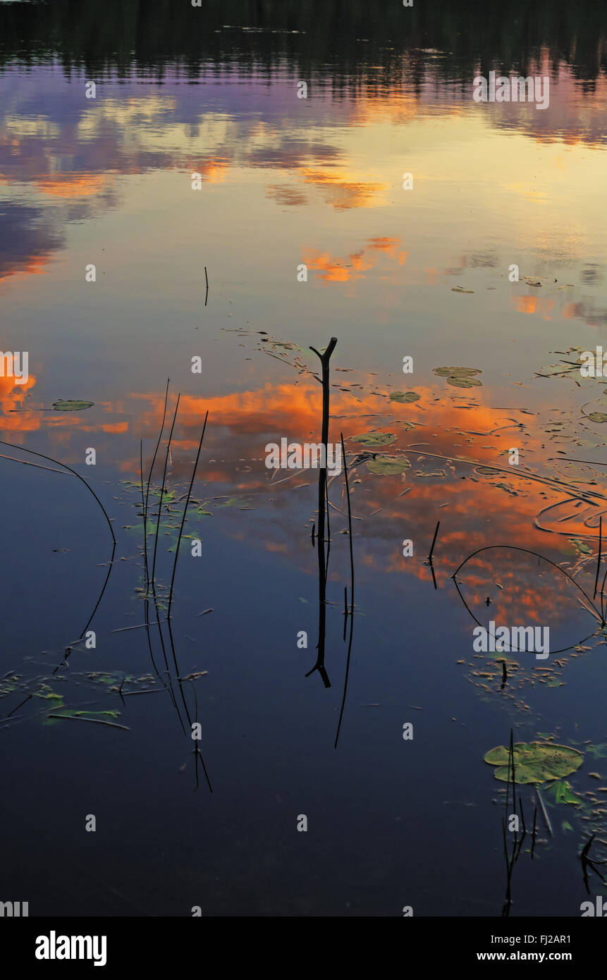 Pink sunset over lake Stock Photo - Alamy
