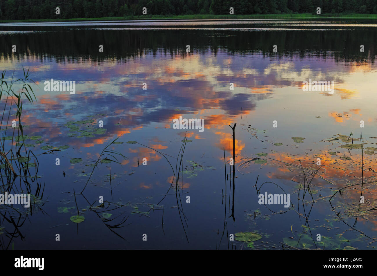 Pink sunset over lake Stock Photo - Alamy