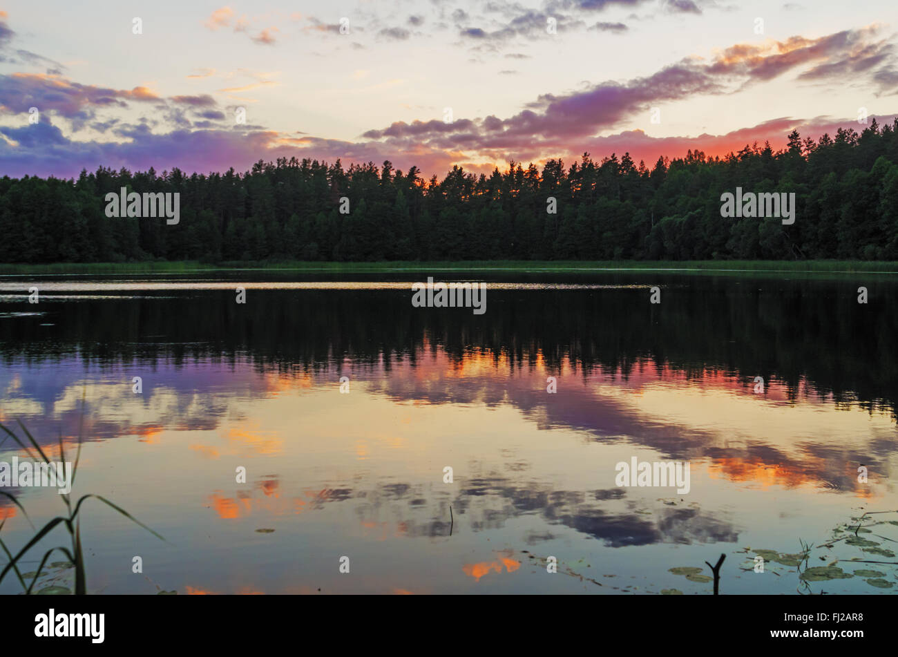 Pink sunset over lake Stock Photo - Alamy