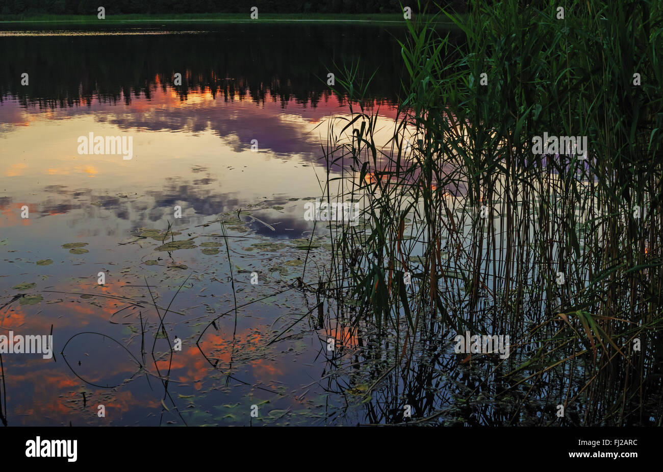 Pink sunset over lake Stock Photo - Alamy