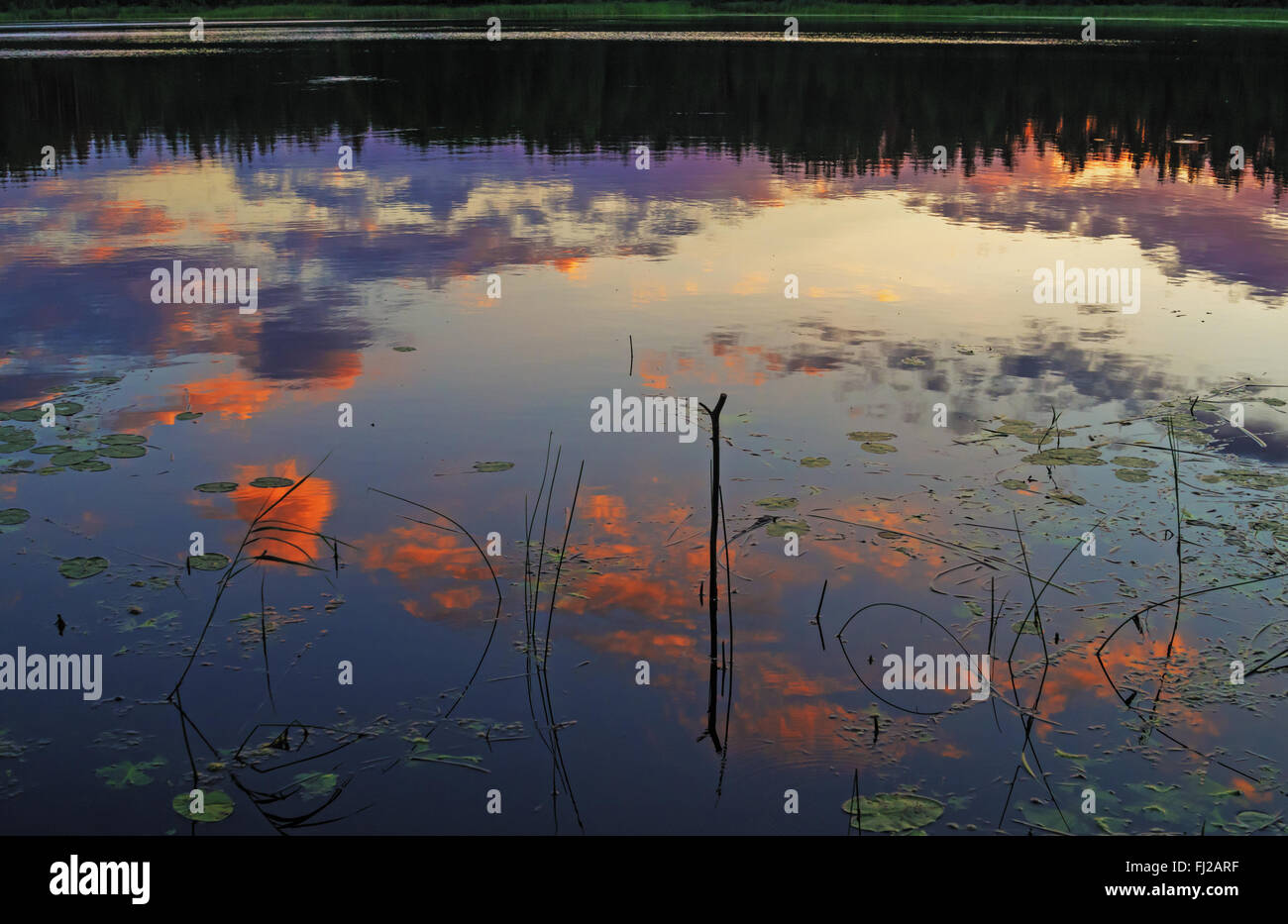 Pink sunset over lake Stock Photo - Alamy