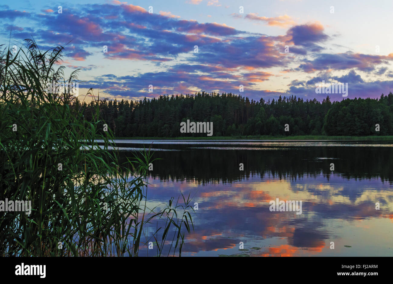 Nightfall sunset lake reed hi-res stock photography and images - Alamy