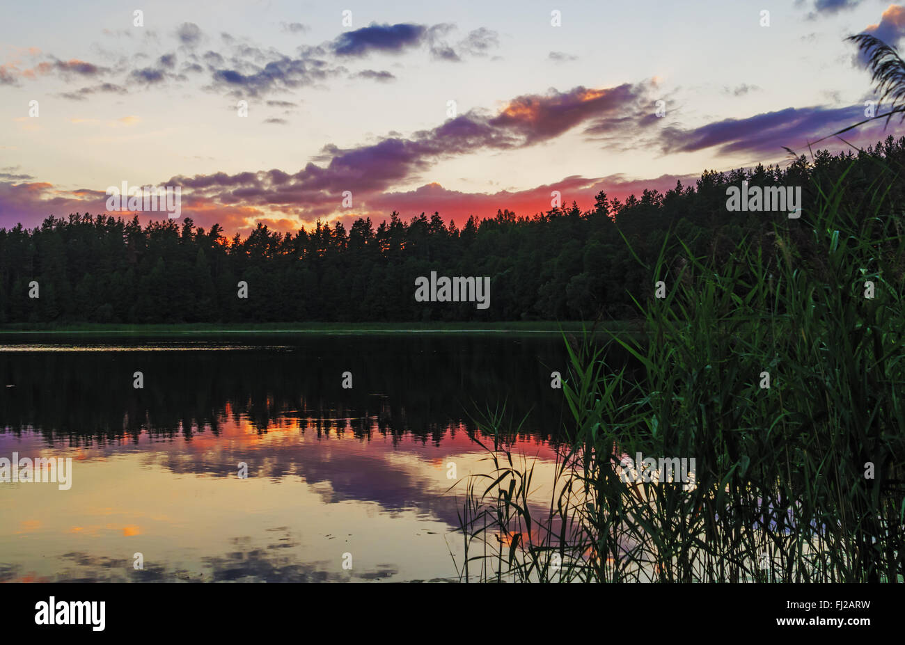 Pink sunset over lake Stock Photo - Alamy