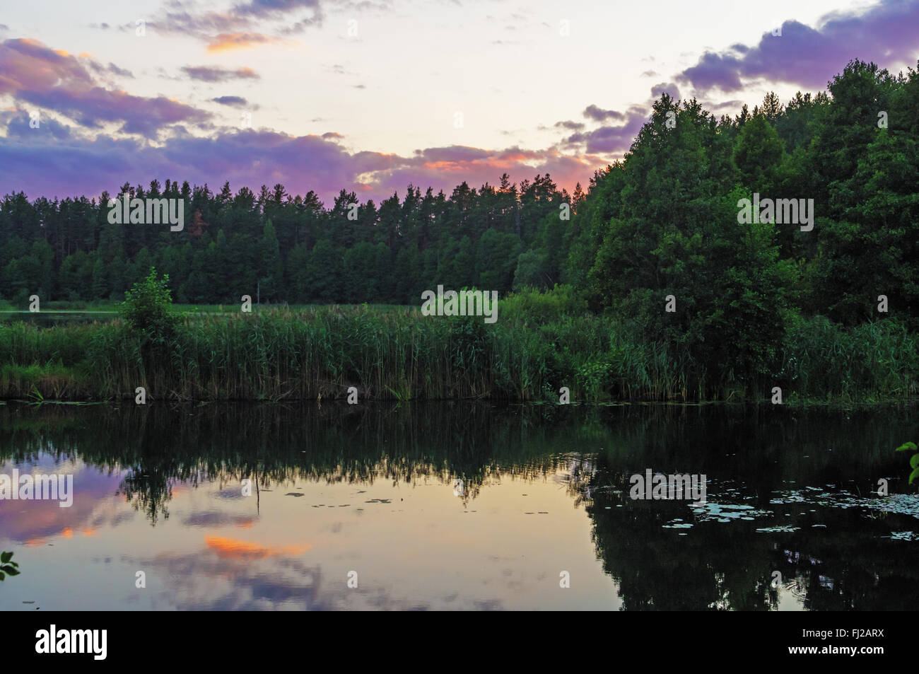 Pink sunset over lake Stock Photo - Alamy