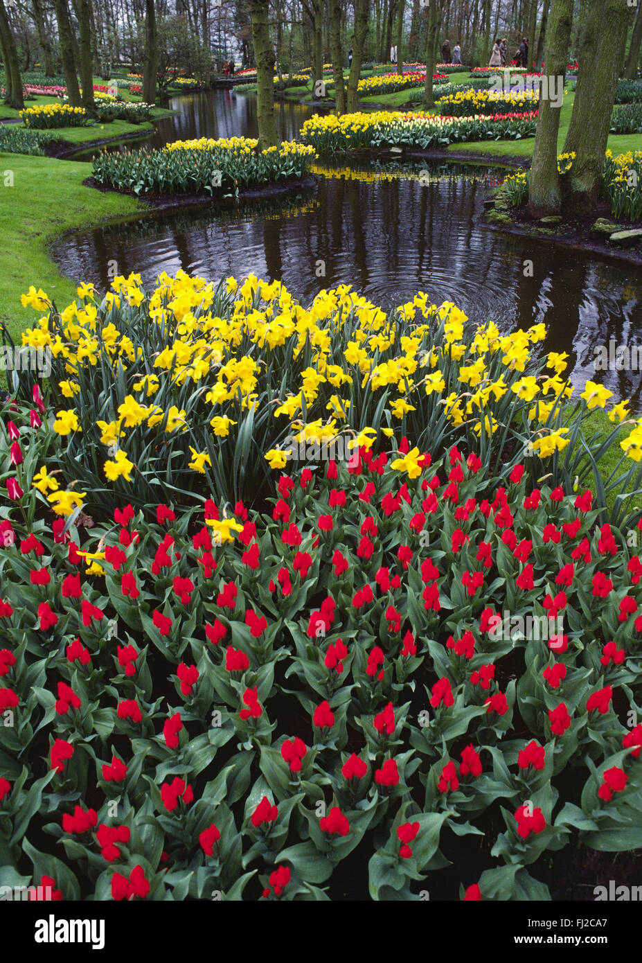 Dutch bulbs and gardens hi-res stock photography and images - Alamy