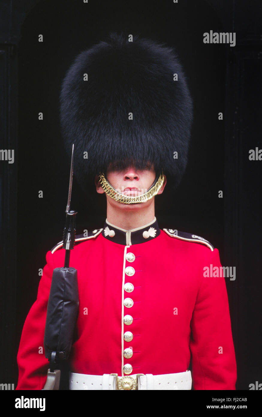 ENGLAND, LONDON, WACHE, TOWER, GUARD, HORSEGUARD Stock Photo - Alamy
