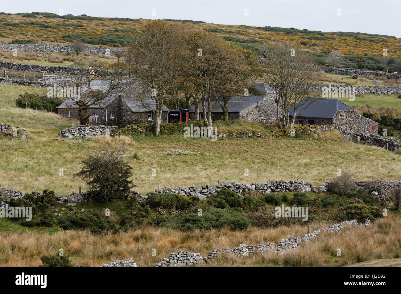 Homestead in Dartmoor, Devon, UK Stock Photo - Alamy