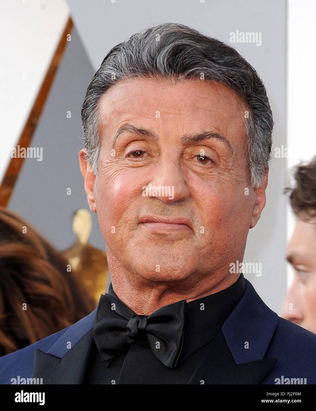 Los Angeles, CA, USA. 28th Feb, 2016. Sylvester Stallone at arrivals ...