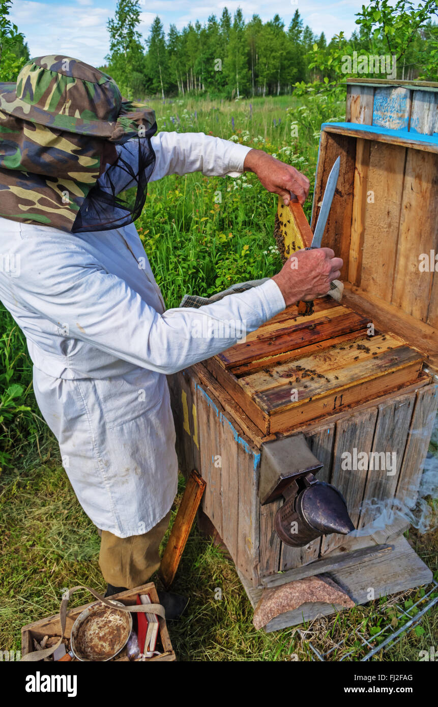 The beekeeper works near a beehive in the village Stock Photo - Alamy