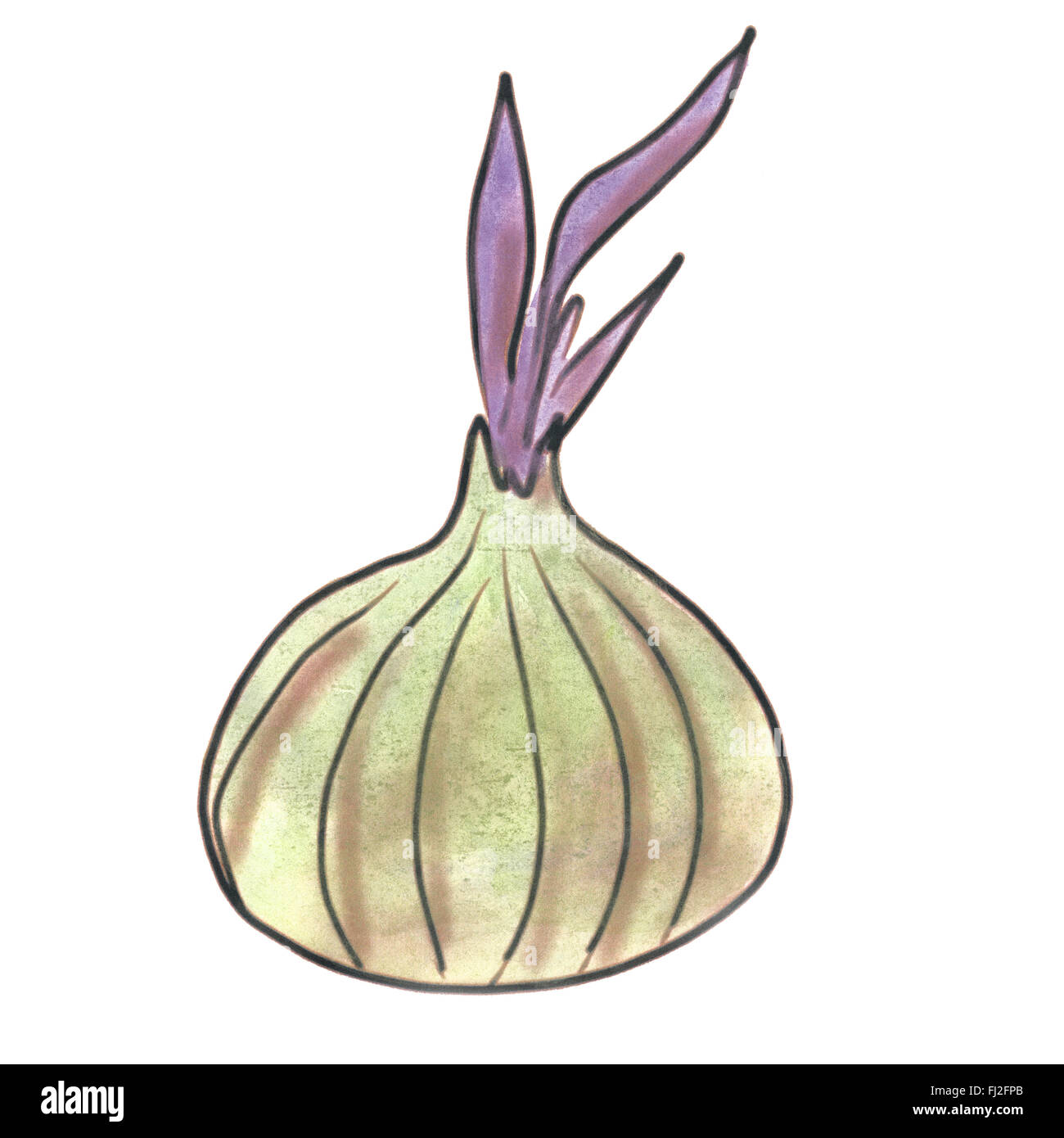 blue onion cartoon watercolor isolated Stock Photo - Alamy