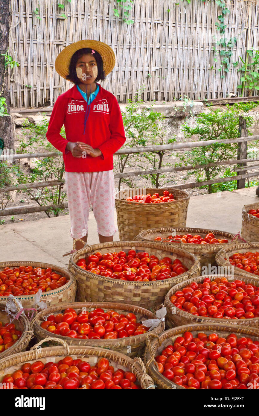 TOMATOES are transported by train on the route from Pyin U Lwin to ...