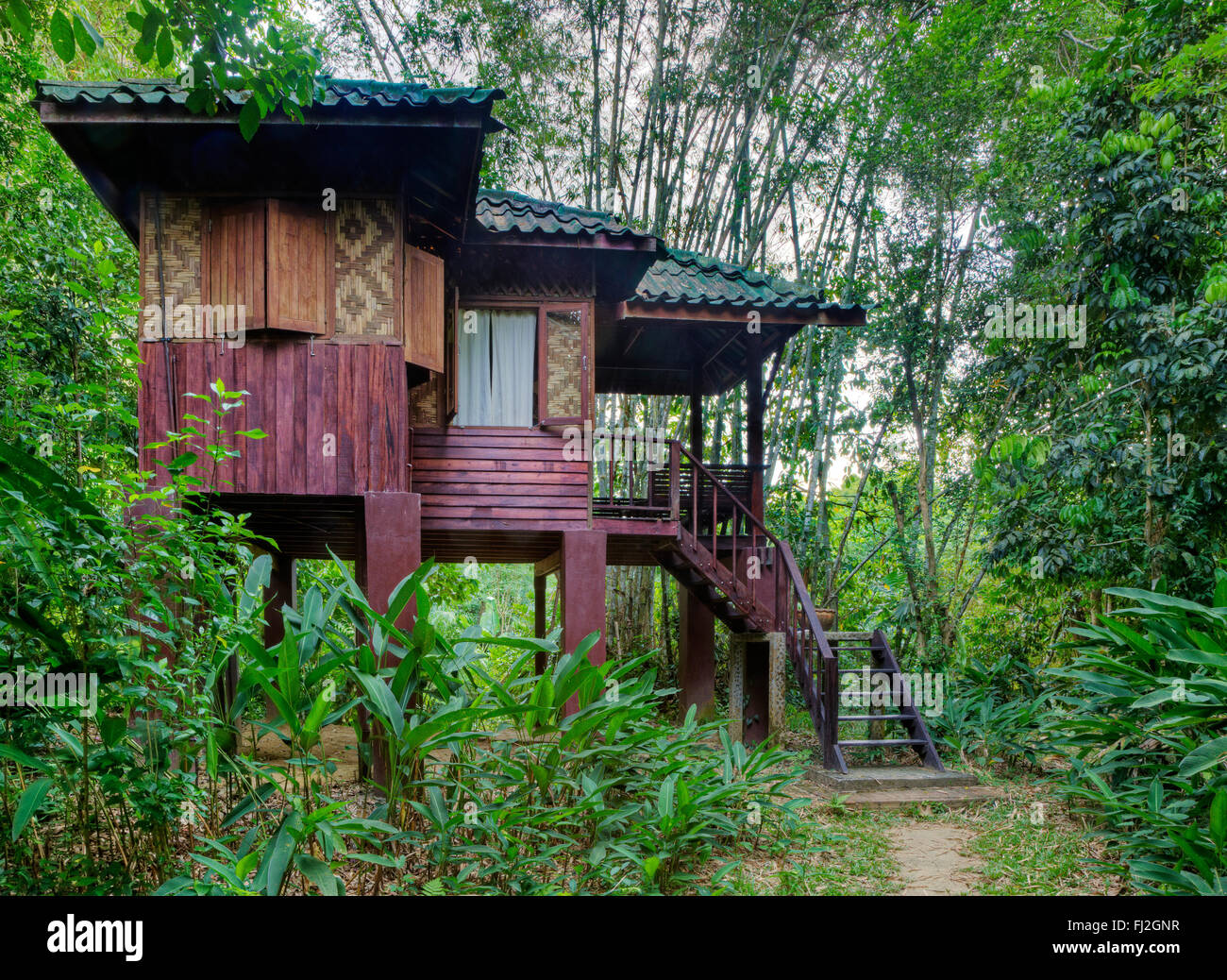 TREE HOUSES are the specialty of OUR JUNGLE HOUSE a lodge in the ...