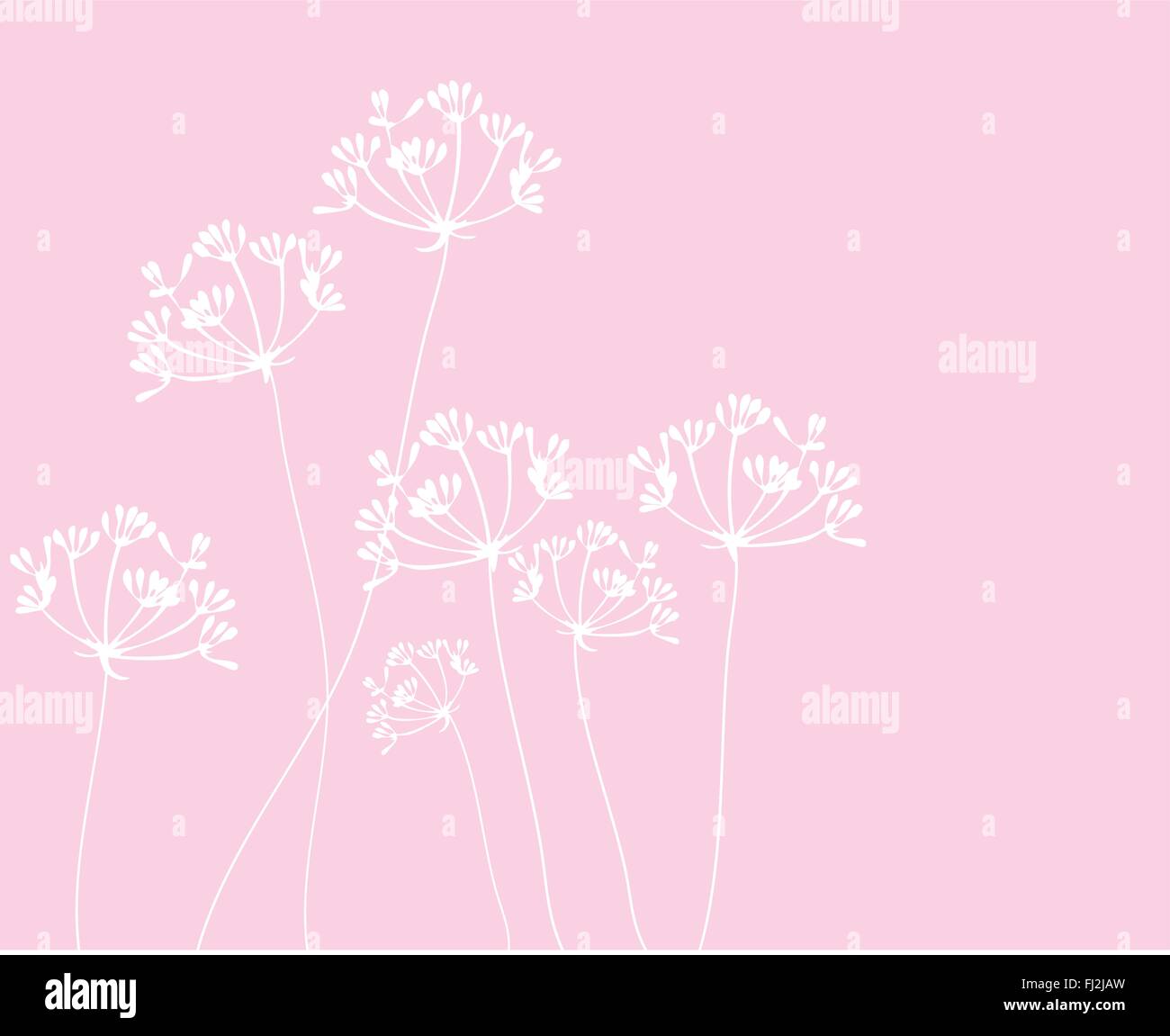 vector illustration of fennel flowers silhouettes background Stock ...