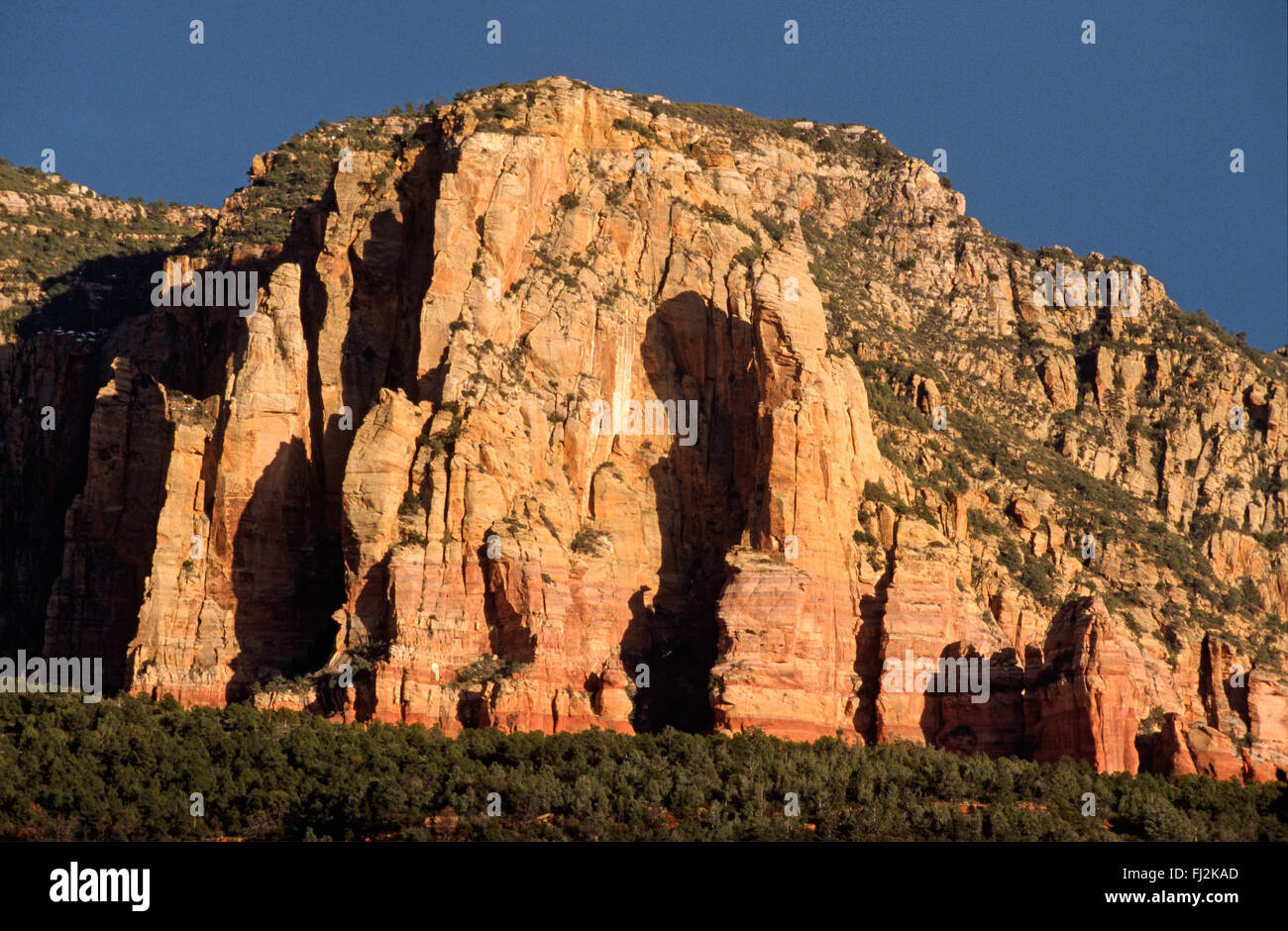 Sedona pine trees hi-res stock photography and images - Alamy