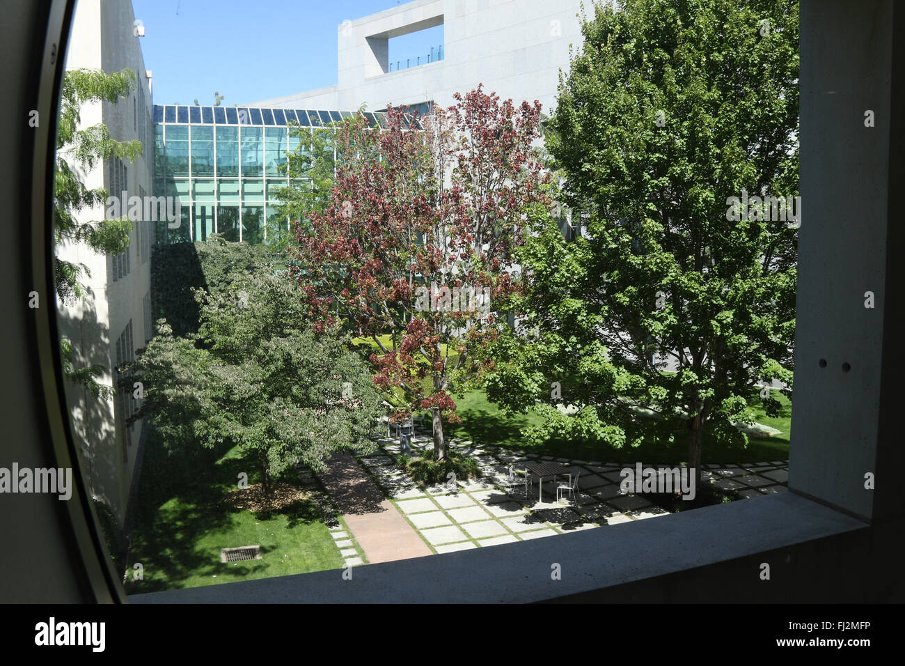 A view from a window to an internal courtyard area with trees inside ...