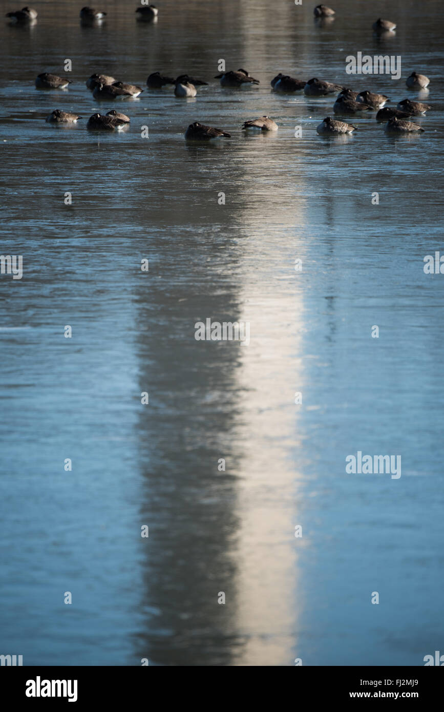 Frozen tidal area hi-res stock photography and images - Alamy