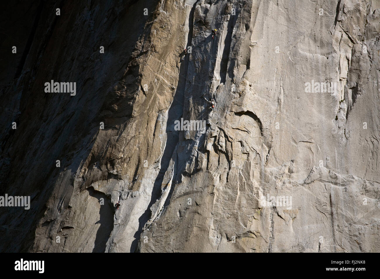 CLIMBERS on the face of EL CAPITAN in the YOSEMITE VALLEY - YOSEMITE ...