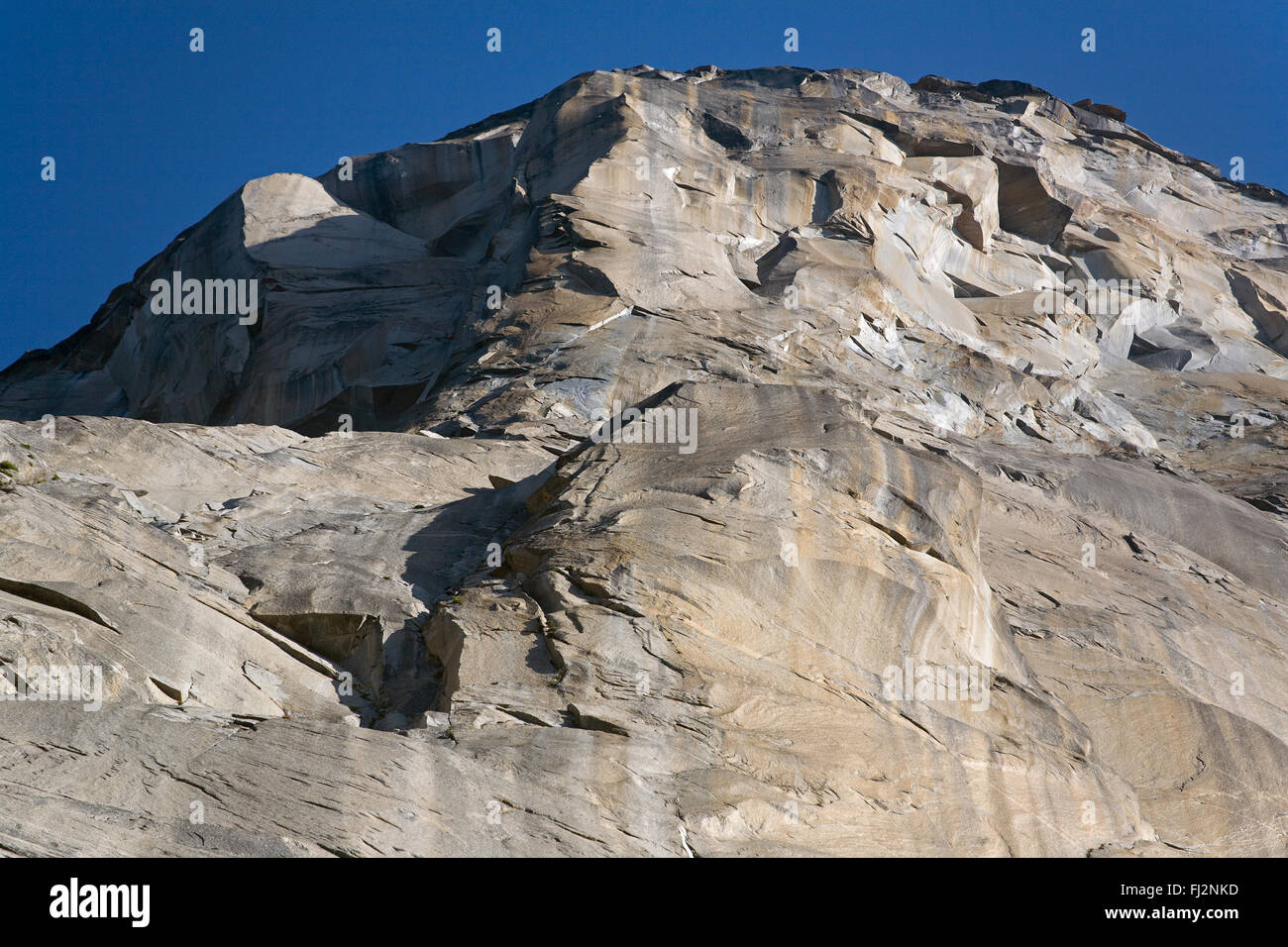 The top of EL CAPITAN in the YOSEMITE VALLEY - YOSEMITE NATIONAL PARK ...