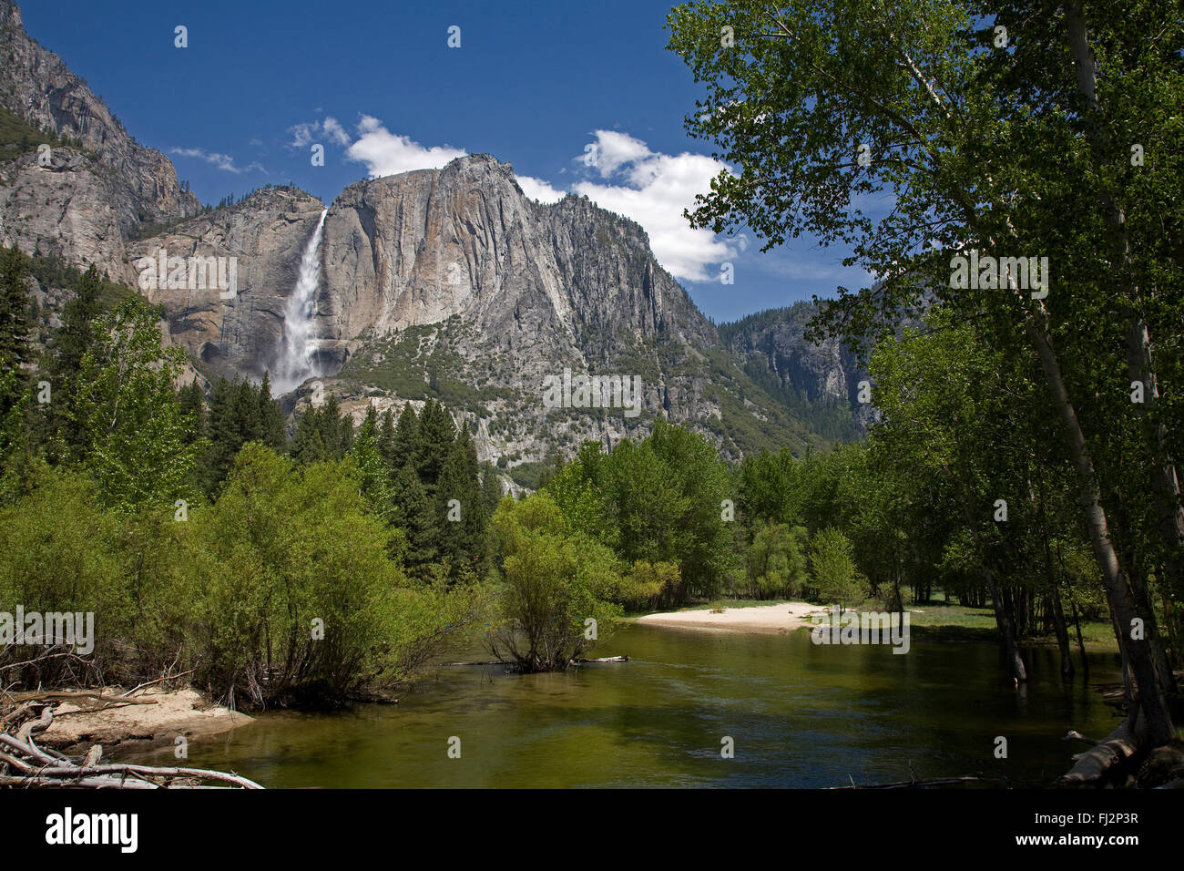 YOSEMITE FALLS flows into the MERCED RIVER in the YOSEMITE VALLEY ...