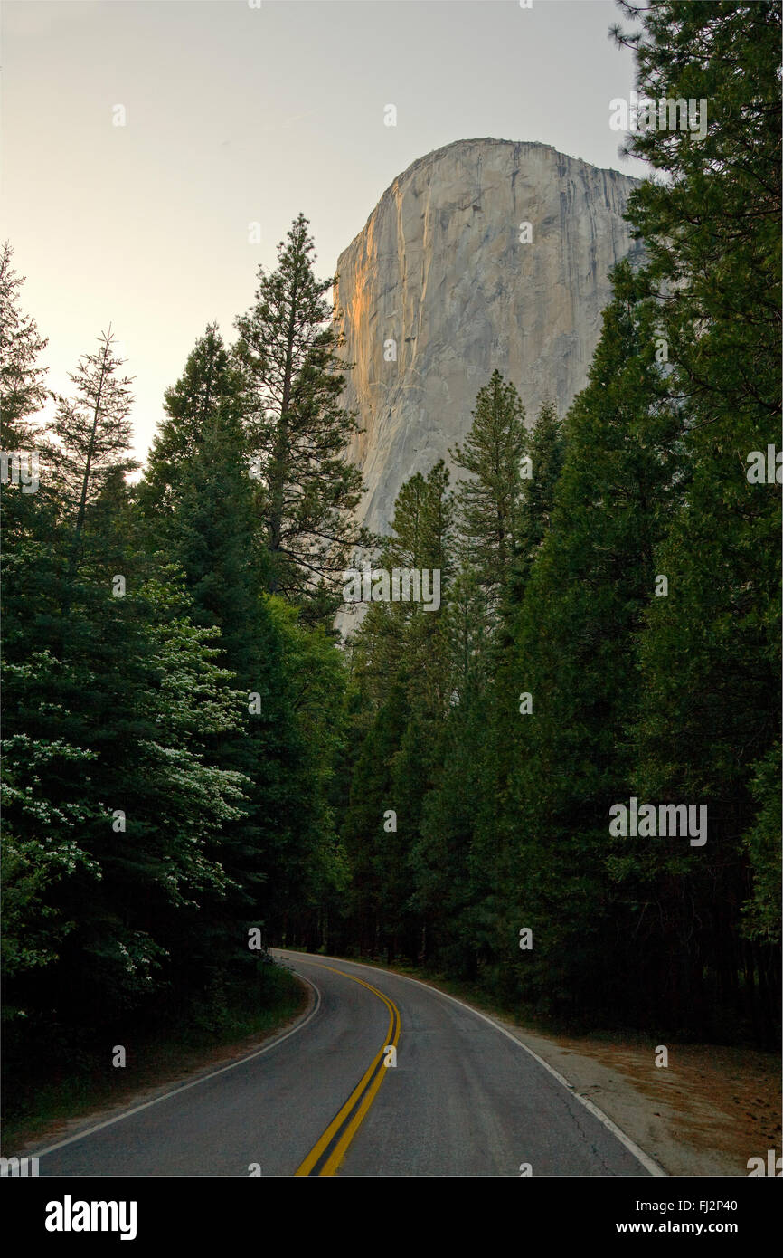 Sunset on EL CAPITAN in YOSEMITE VALLEY - YOSEMITE NATIONAL PARK ...