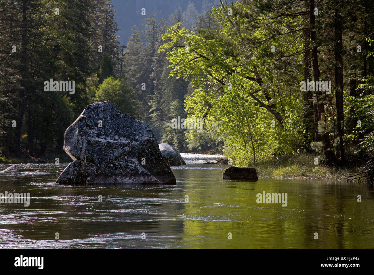 GRANITE BOULDERS in the MERCED RIVER - YOSEMITE NATIONAL PARK ...