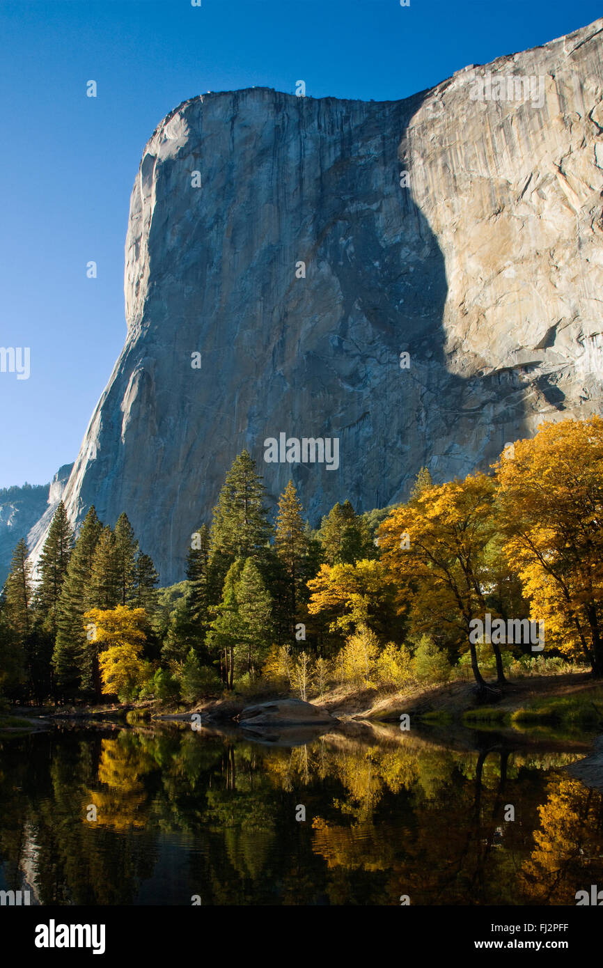 EL CAPITAN and the MERCED RIVER run through YOSEMITE VALLEY in autumn ...