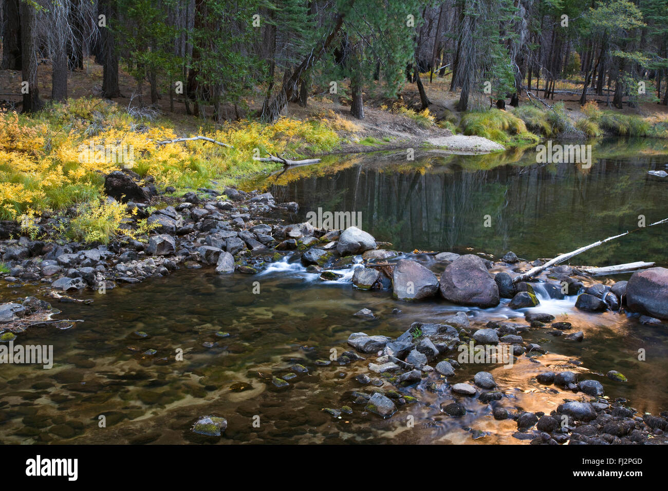 The MERCED RIVER runs through YOSEMITE VALLEY - YOSEMITE NATIONAL PARK ...