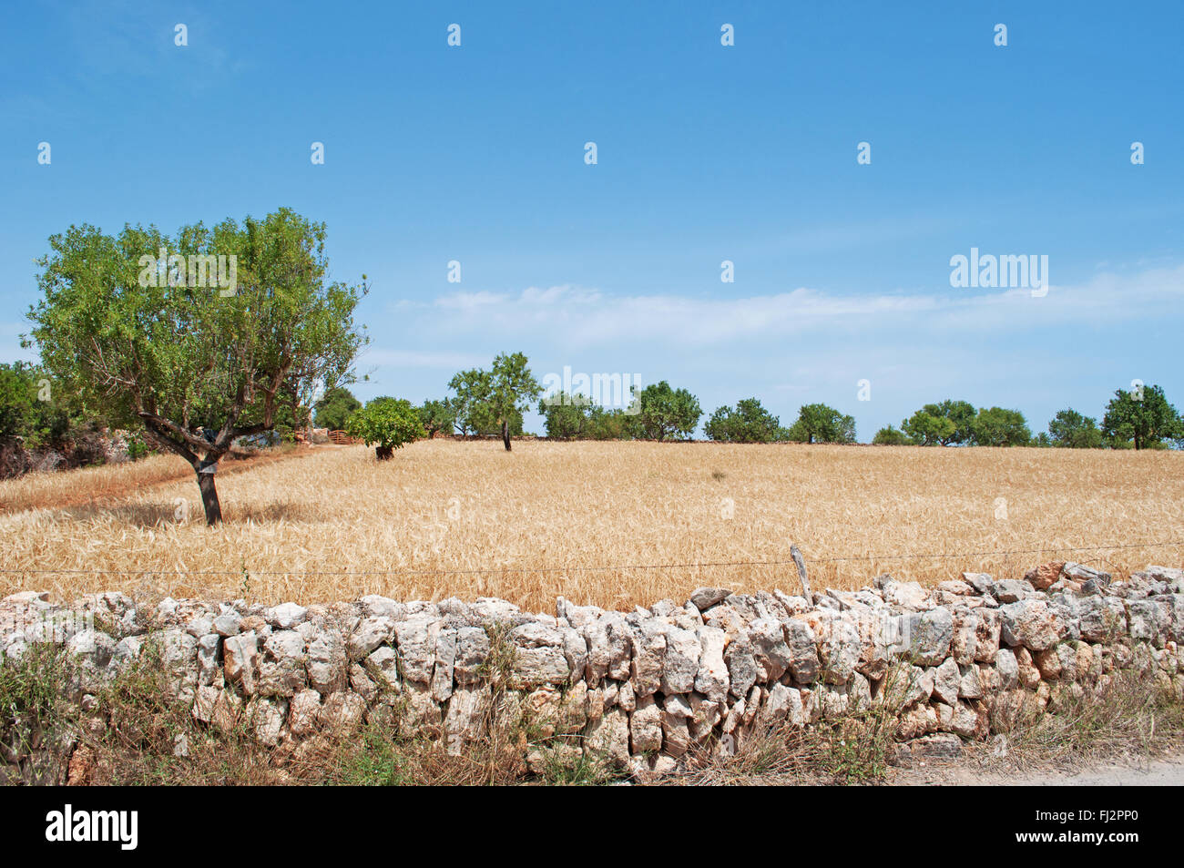 Agriculture mallorca hi-res stock photography and images - Alamy
