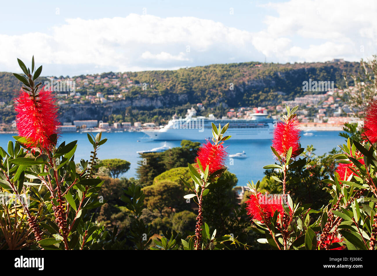 Panoramic view of the lagoon French Riviera through red flowers Stock ...