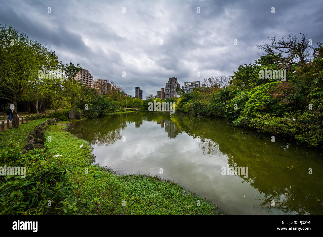 Lake at Daan Forest Park in Taipei, Taiwan Stock Photo - Alamy