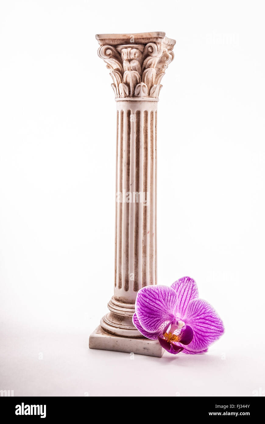Classical column with flower Stock Photo - Alamy