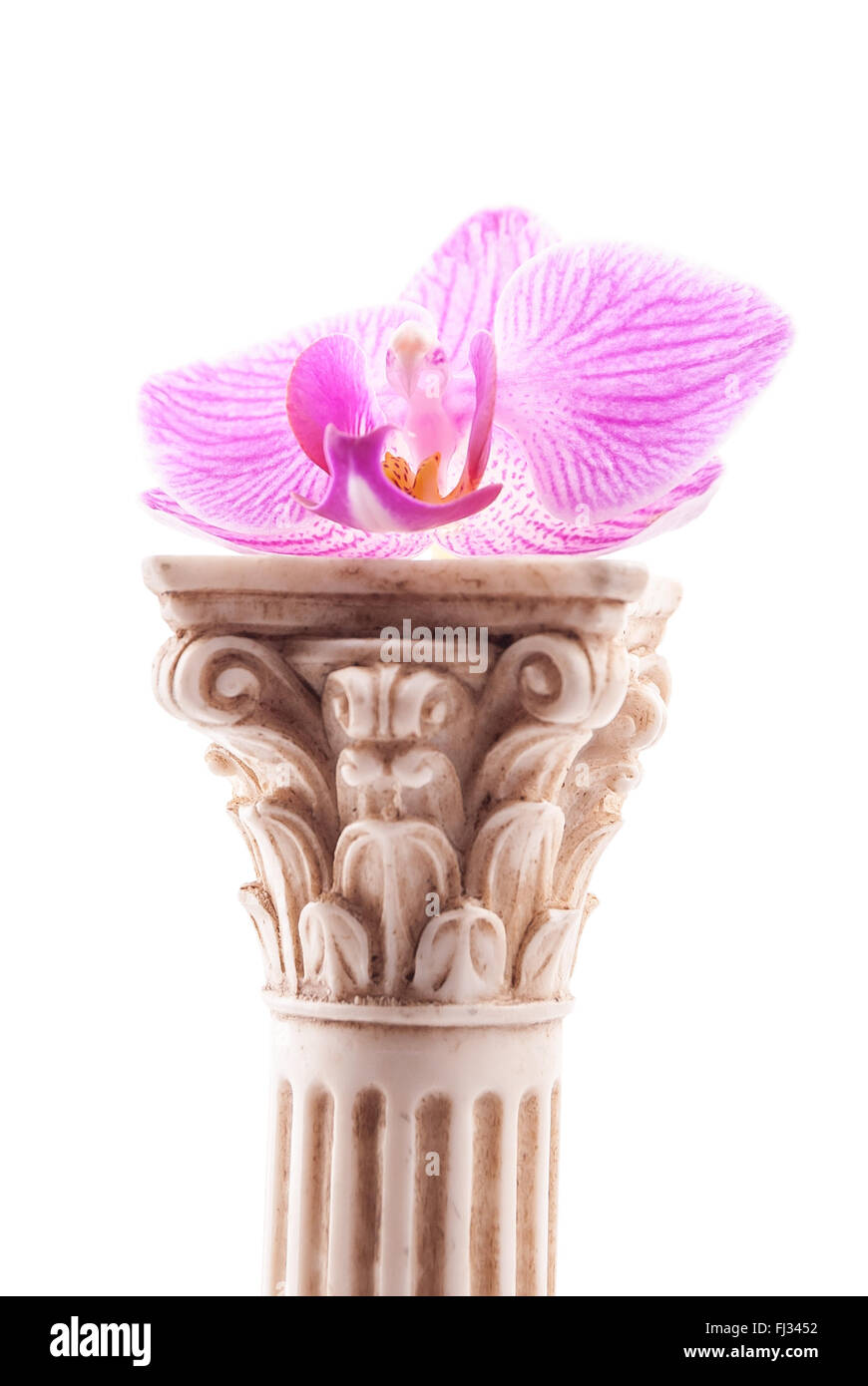 Classical column with flower Stock Photo - Alamy