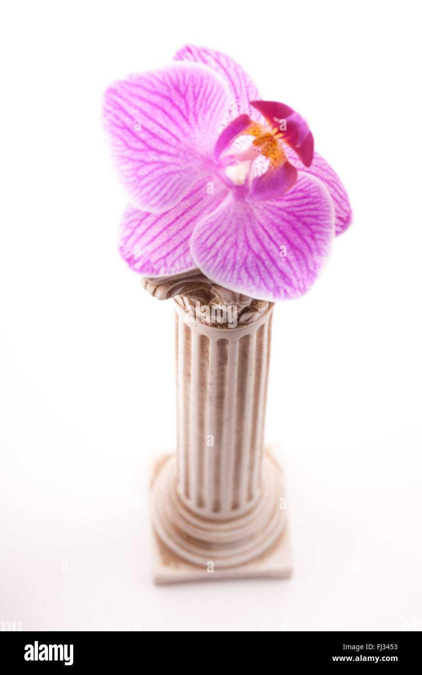 Classical column with flower Stock Photo - Alamy