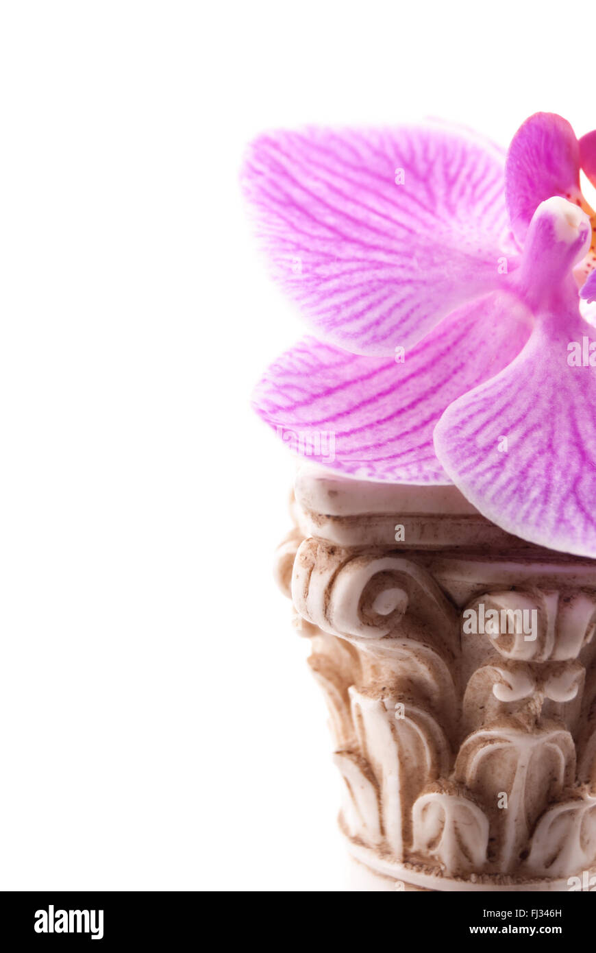 Classical column with flower Stock Photo - Alamy