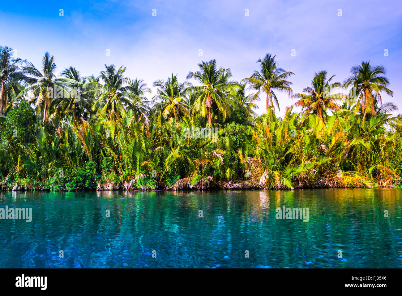 Palm trees on sea shore at beautiful sunny day Stock Photo - Alamy