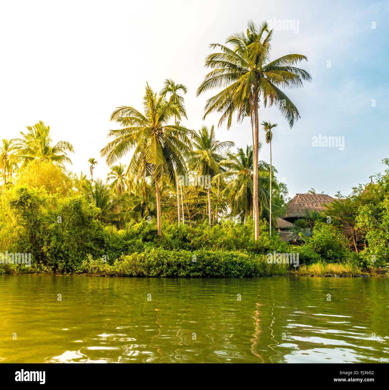 Palm trees on sea shore at beautiful sunny day Stock Photo - Alamy